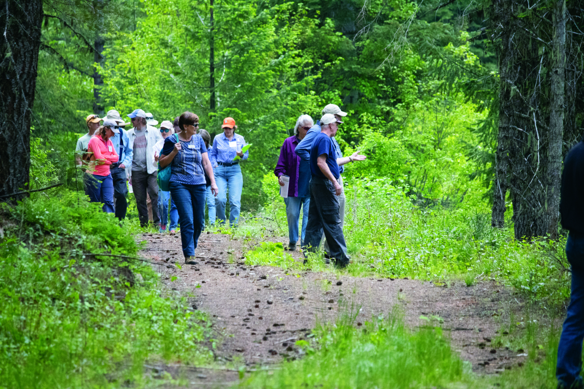 A first for Oregon: Mountcrest Working Forest conserved - Pacific ...