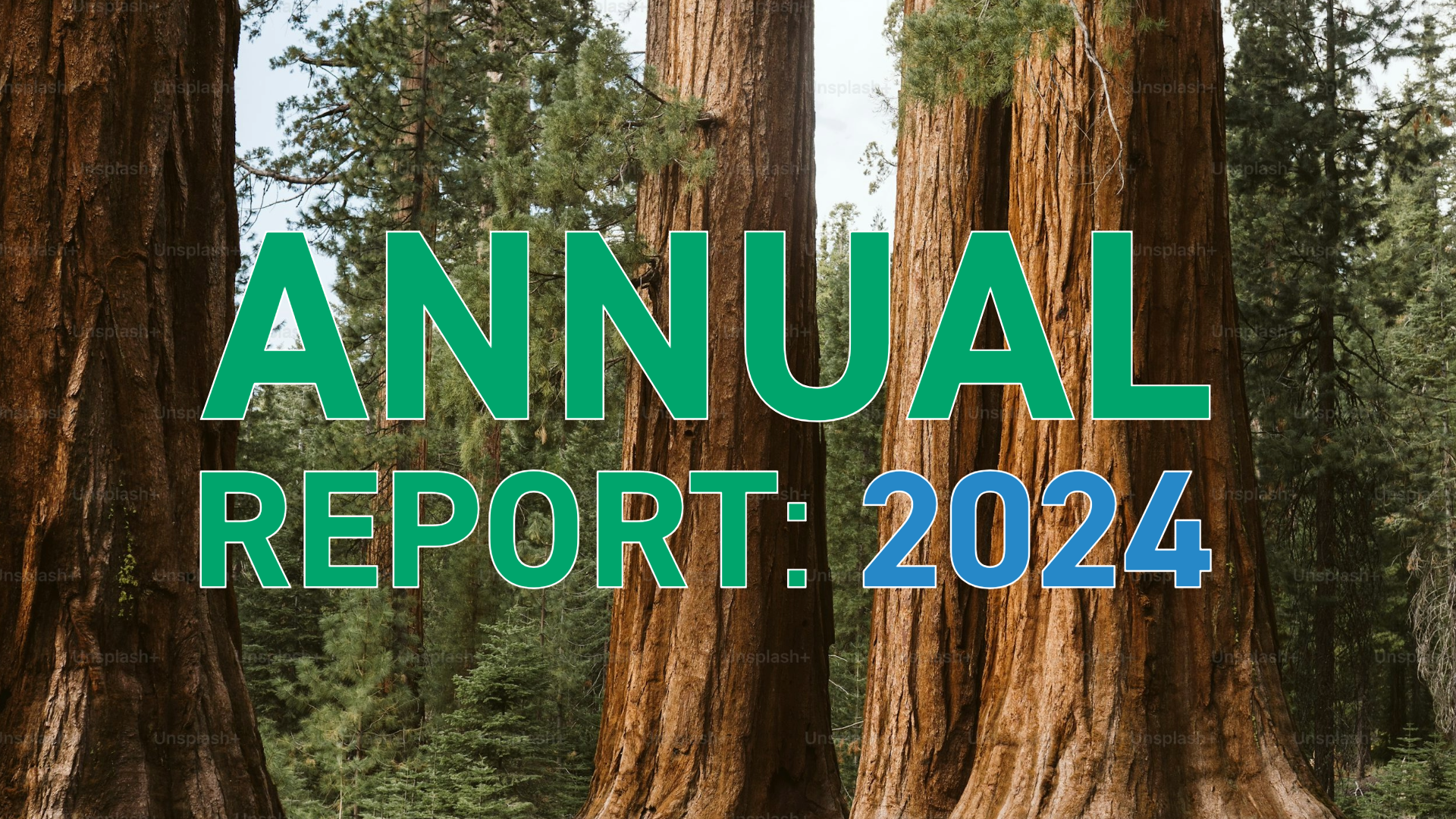 Website Featured Images-15-AR 2024 - Pacific Forest Trust