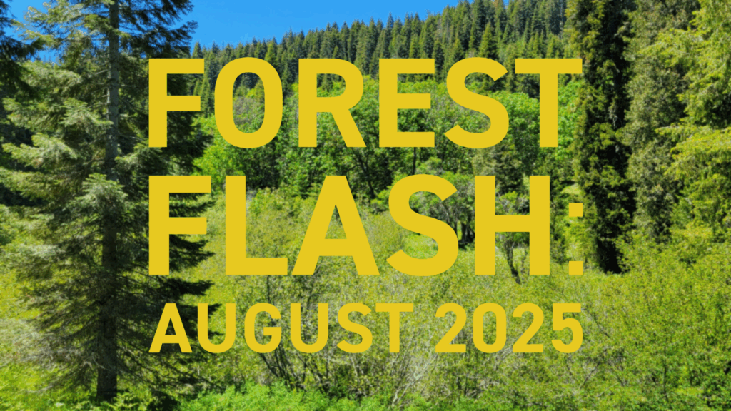 Forest Flash: August 2025 - Pacific Forest Trust