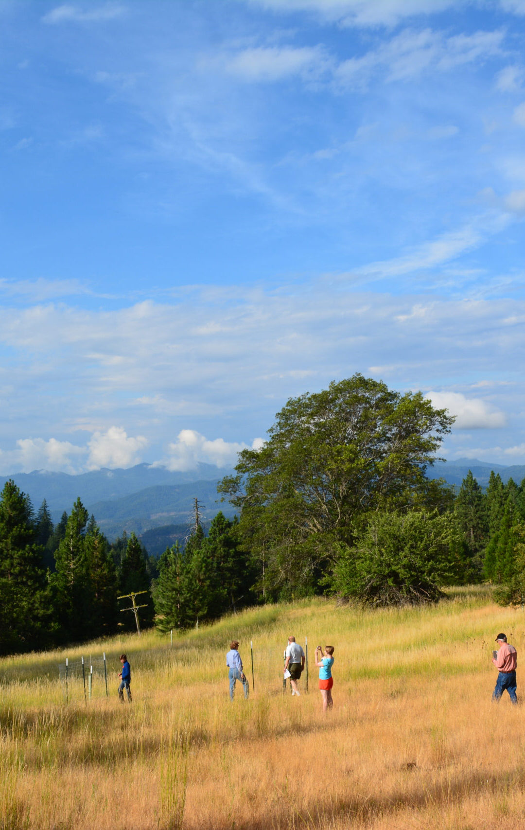 Mountcrest_PM - Pacific Forest Trust
